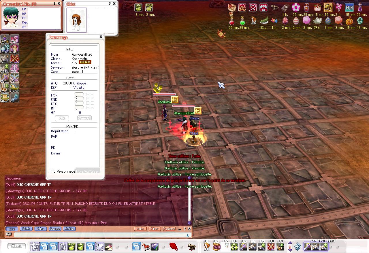 Records de Statistiques - Flyff World